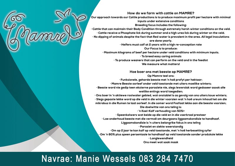 How do we farm with cattle on Mamre – Mamre Consult
